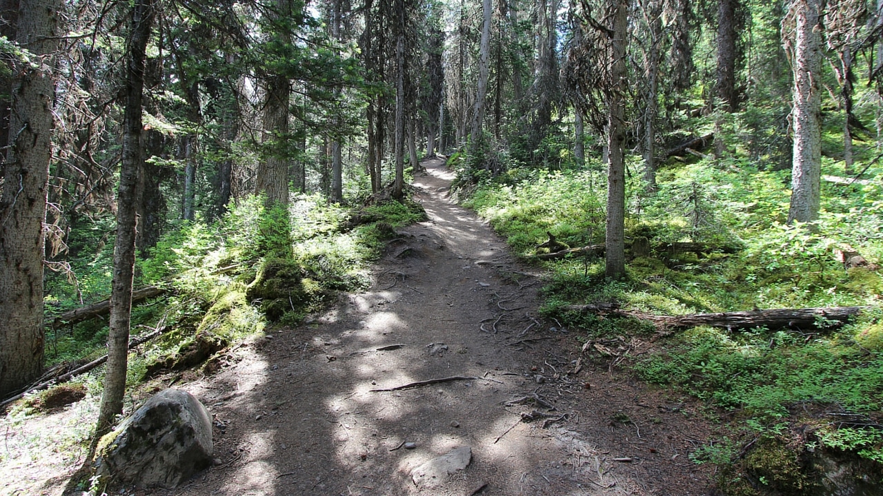 7 Reasons to Try Trail Running | Humans Outside | Amy Bushatz