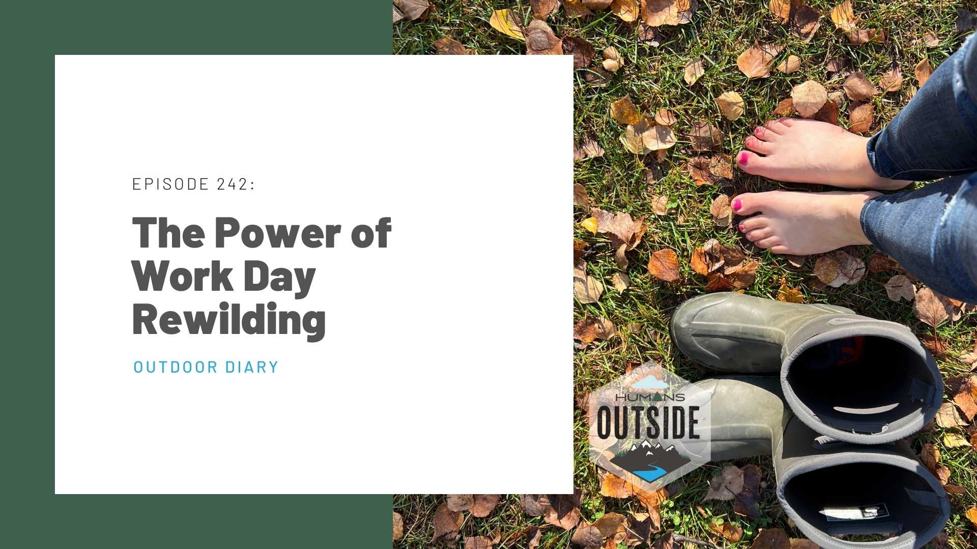Outdoor Diary: The Power of Workday Rewilding | Humans Outside | Amy ...